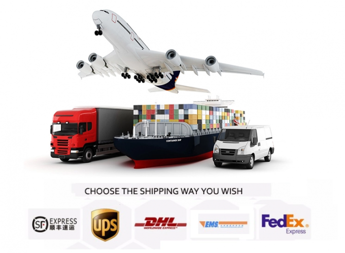 P11C Engine Truck Clutch Kits E13C 10PE1 31250E0051 HND079U